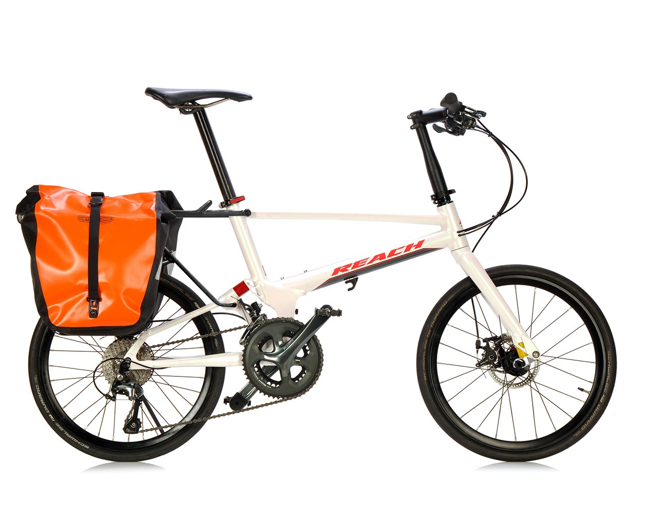 Pacific Cycles Reach Gepäckträger hinten | Schutzbleche / Gepäckträger ...